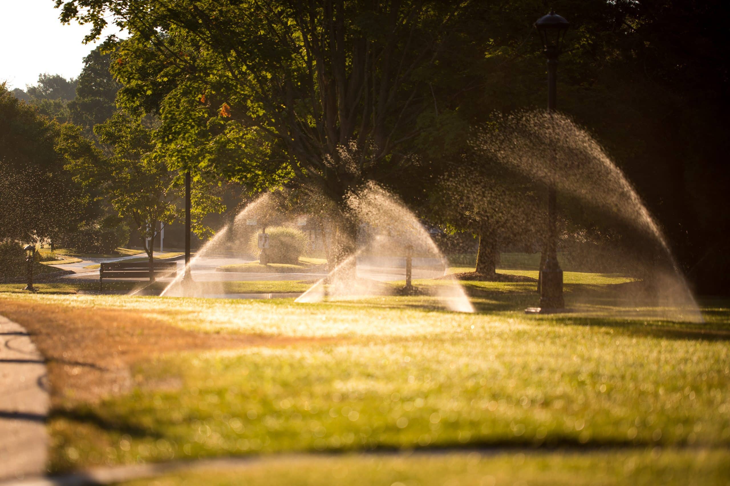 Publications | Elim Park
